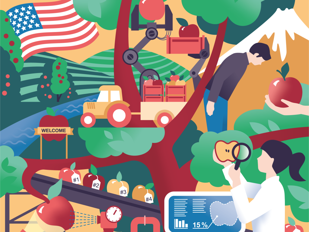 Understanding the U.S. apples industry trends. Full article from The ...