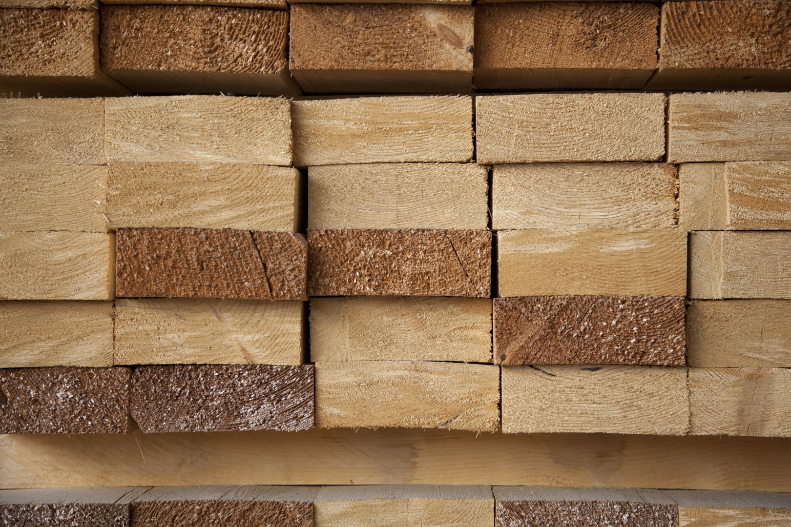 Langes (und neues) Leben dem Holz!