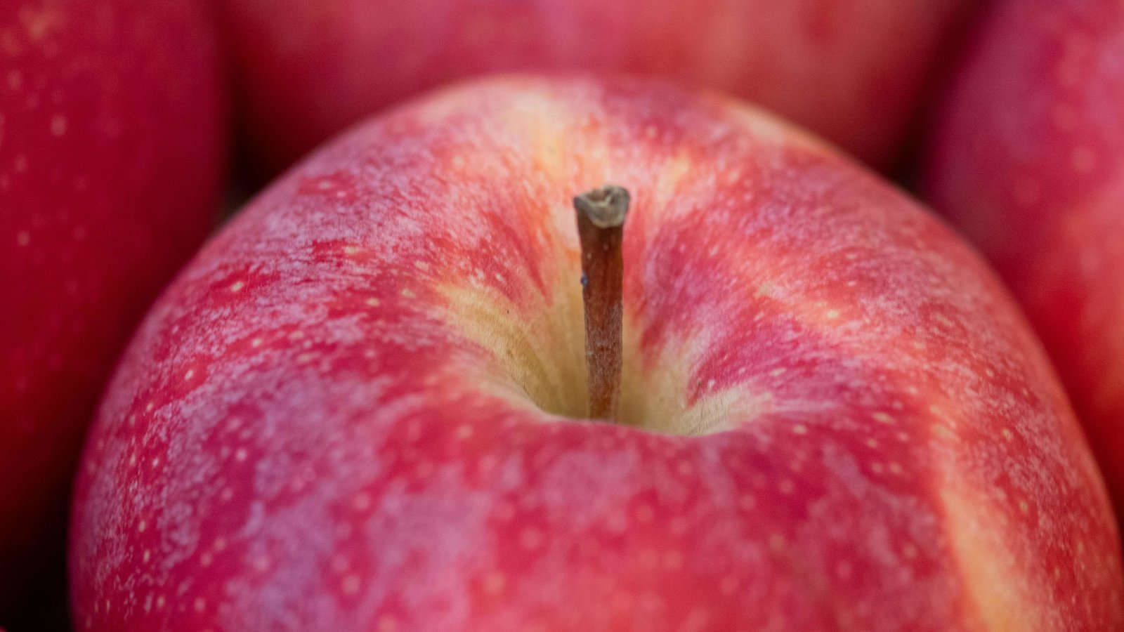What happened to the Red Delicious apples? Full article from The ...