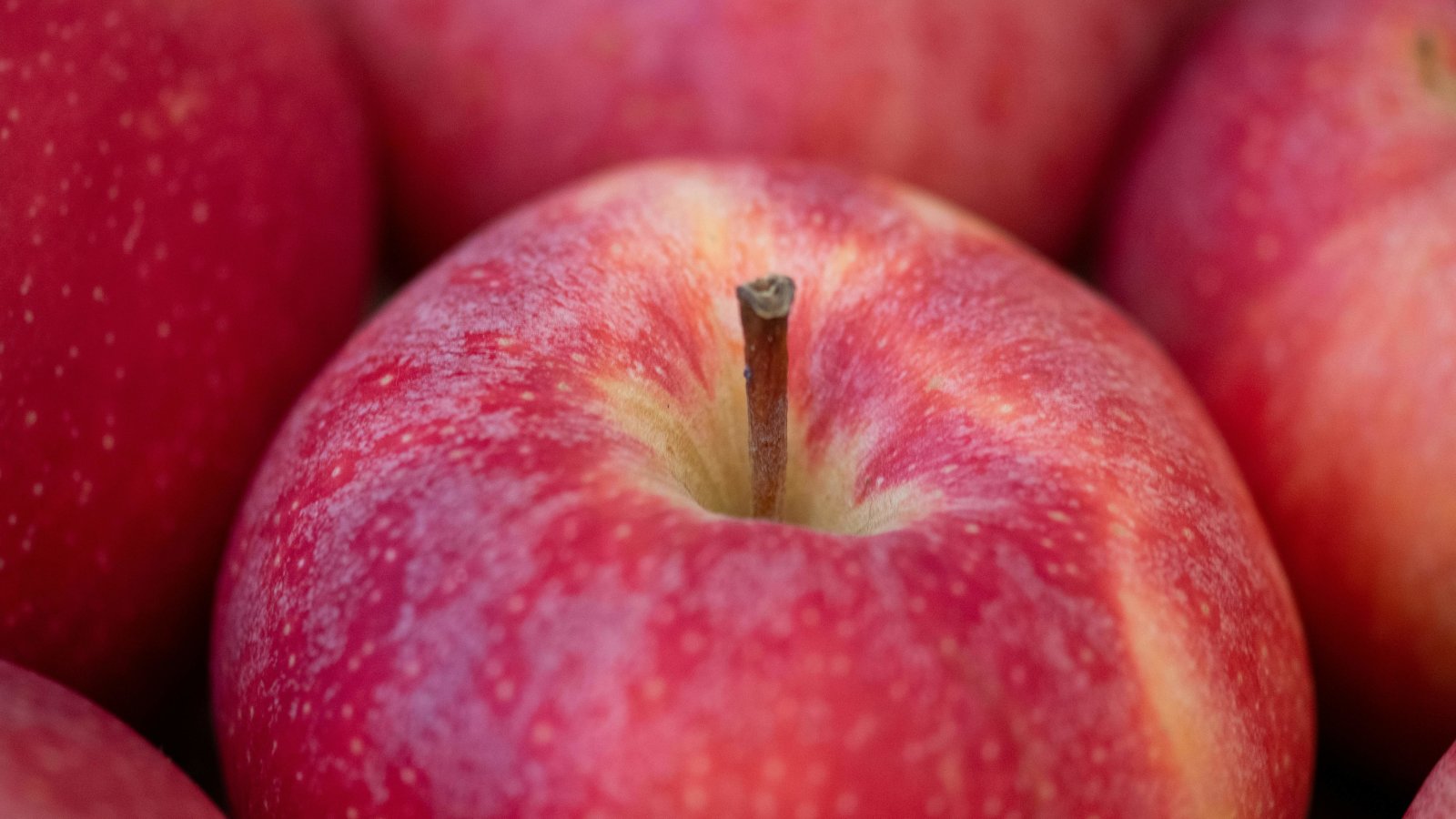 Che fine hanno fatto le mele Red Delicious? L'articolo completo tratto ...
